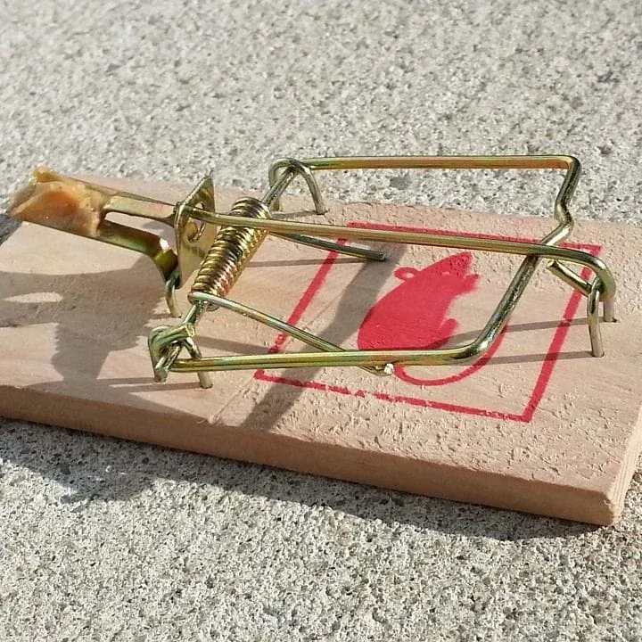 Mouse Trap Racing in the Computer Age! - Activity - Teach Engineering